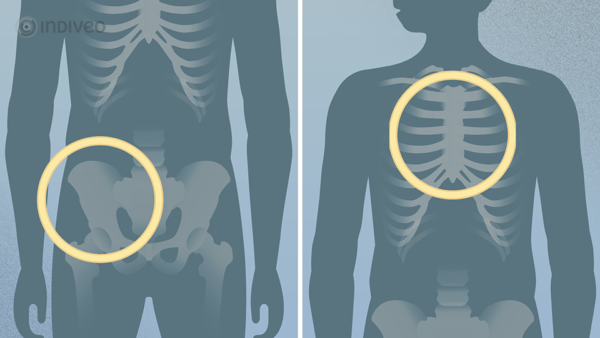 Histologisch biopt - Indiveo
